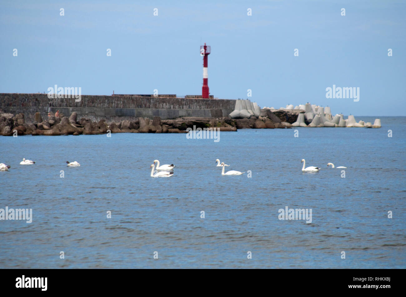 High resolution image. Wave absorber. Coast of Baltic sea Stock Photo ...