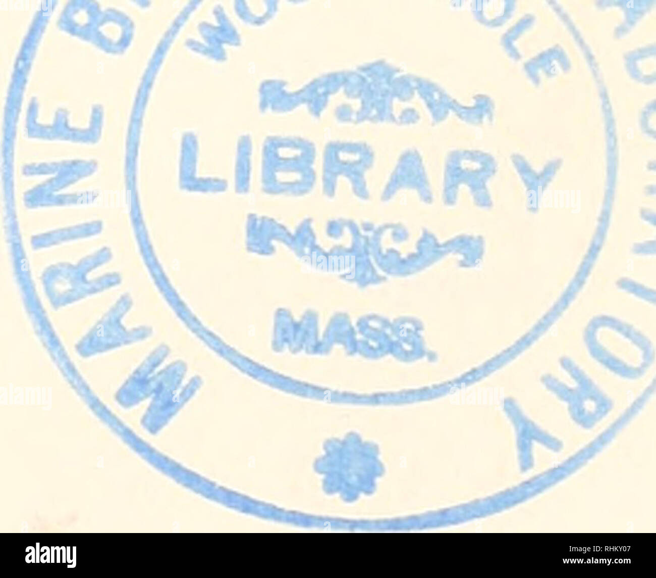 Libbie hyman hi-res stock photography and images - Alamy