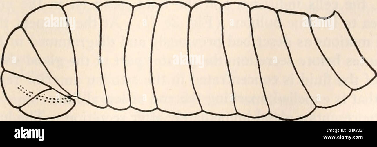 . The Biological bulletin. Biology; Zoology; Biology; Marine Biology ...