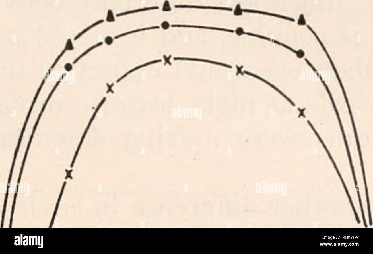 Deep scattering layer hi-res stock photography and images - Alamy
