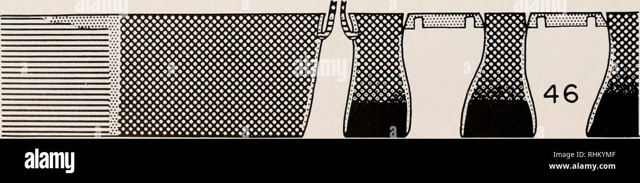 . The Biological bulletin. Biology; Zoology; Biology; Marine Biology ...