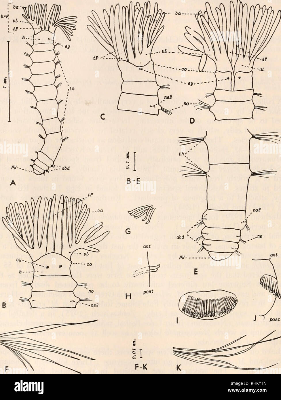 . The Biological bulletin. Biology; Zoology; Biology; Marine Biology ...