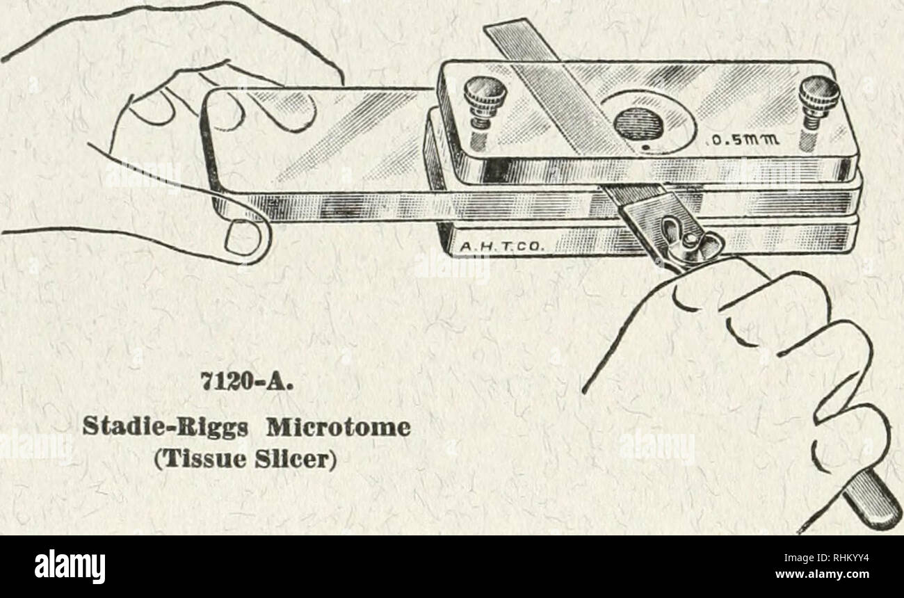 . The Biological bulletin. Biology; Zoology; Biology; Marine Biology ...