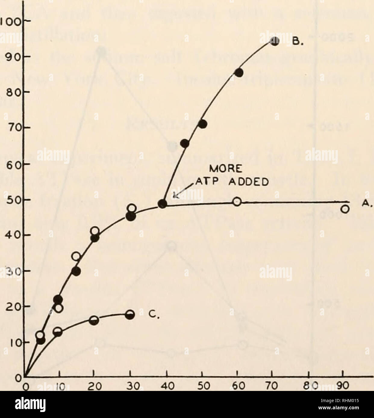 Atp Hydrolysis Graph
