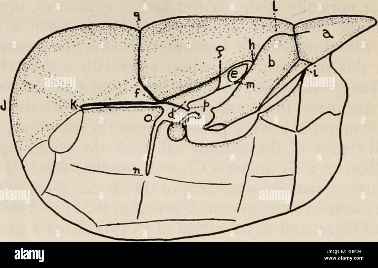 Furshpan hi-res stock photography and images - Alamy