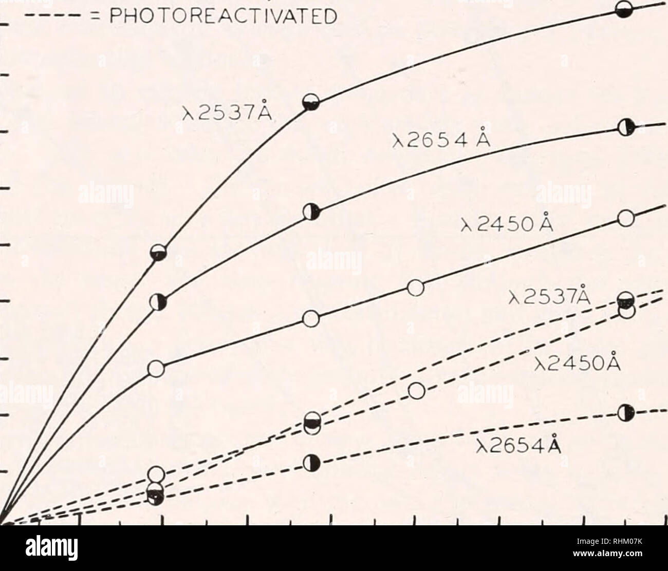Normal light ultraviolet light hi-res stock photography and images - Alamy