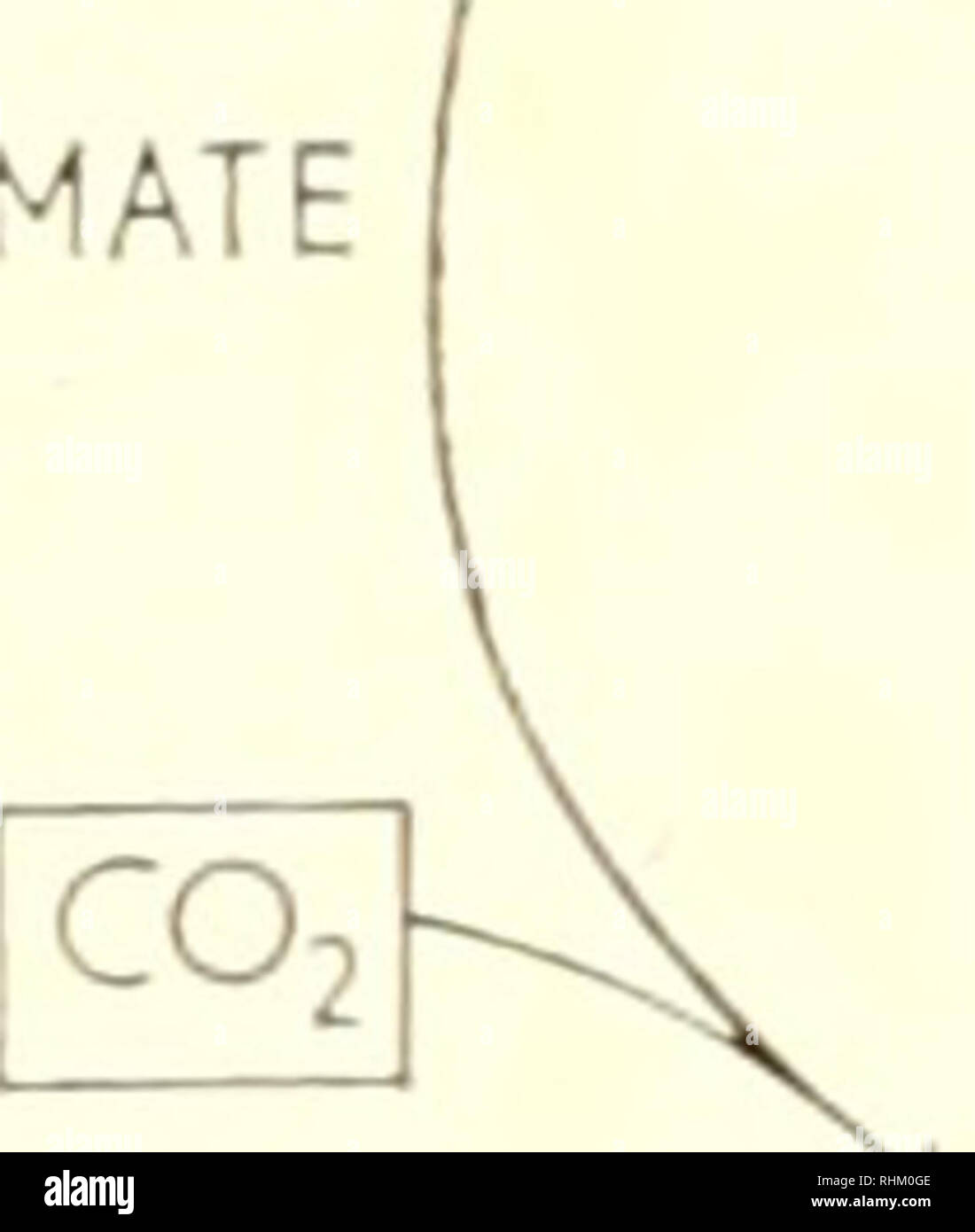 Reductant hi-res stock photography and images - Alamy