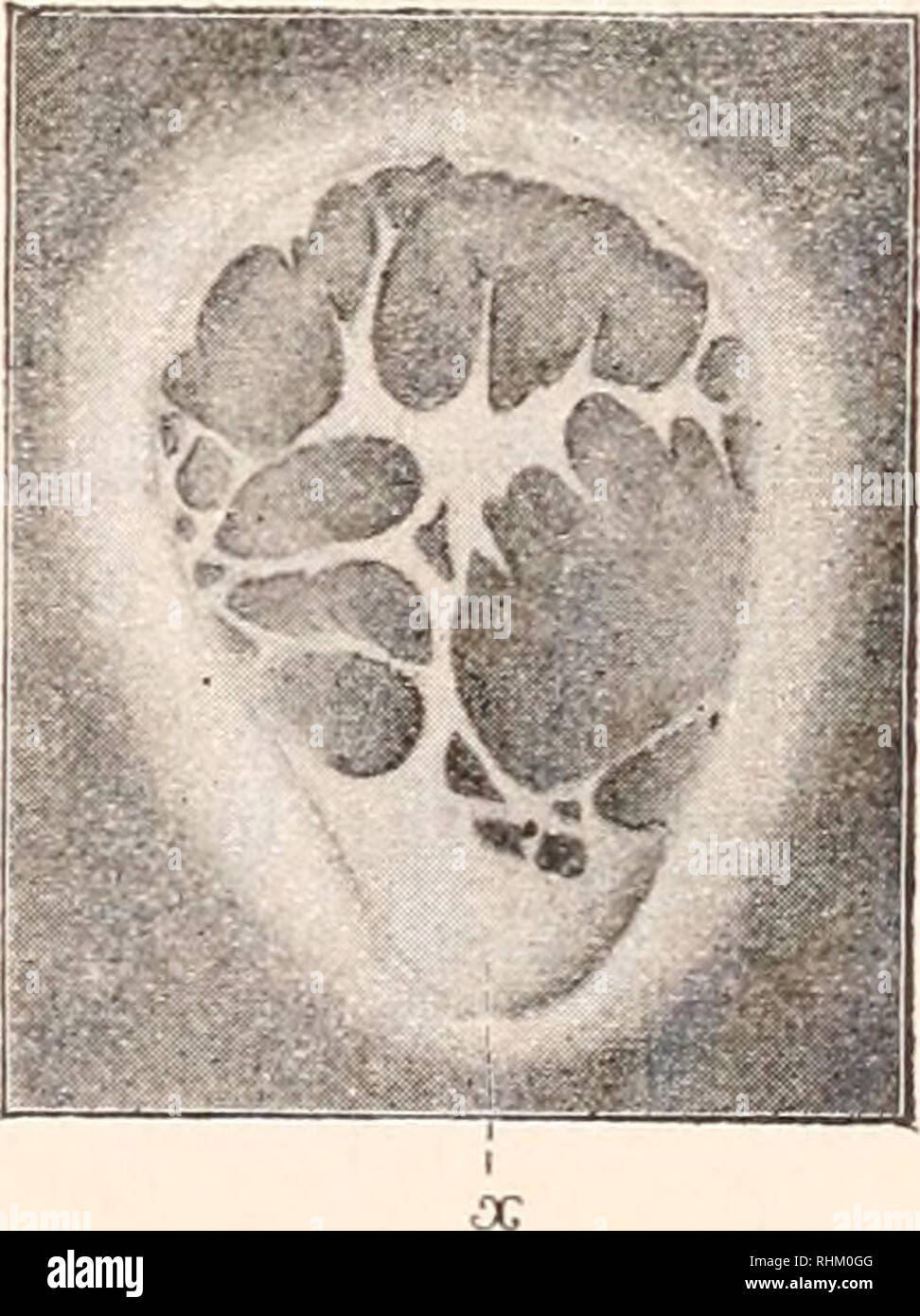 Bezeic hi-res stock photography and images - Alamy