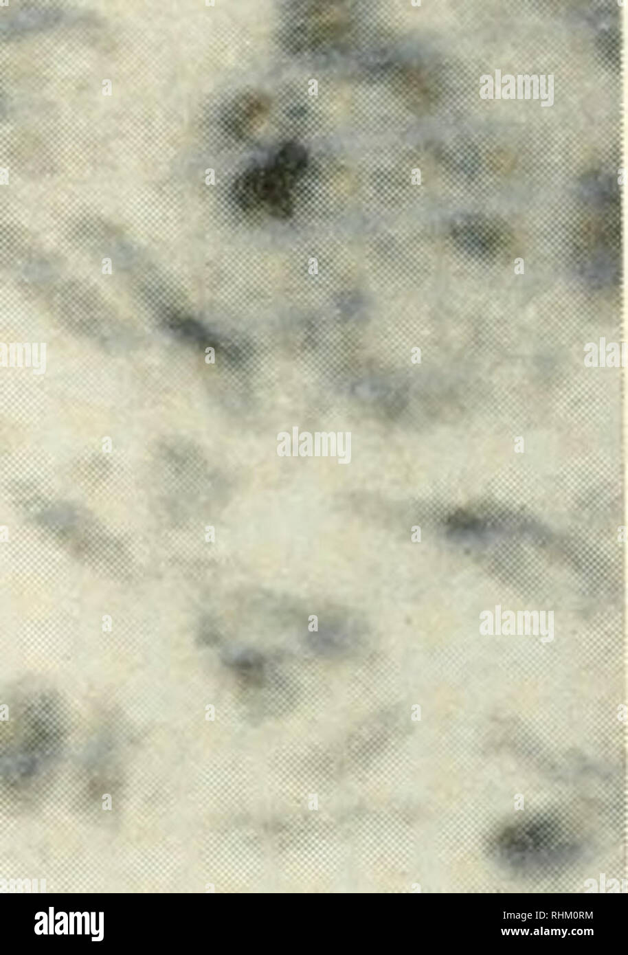 Elongated Figures High Resolution Stock Photography and Images - Alamy