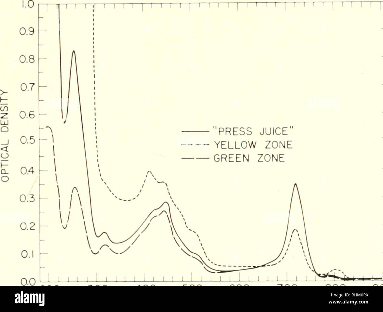 Chlorobium hi-res stock photography and images - Alamy