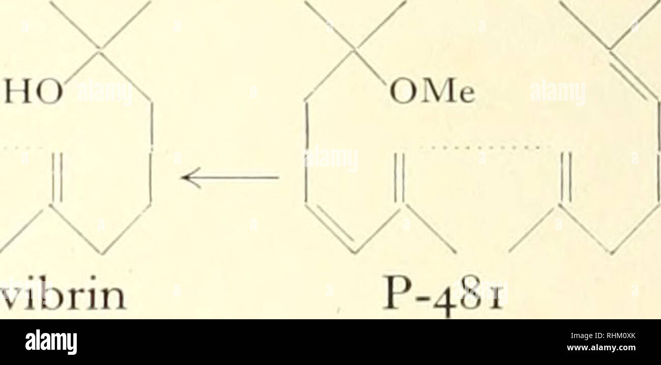 . Biological structure and function; proceedings. Biochemistry ...