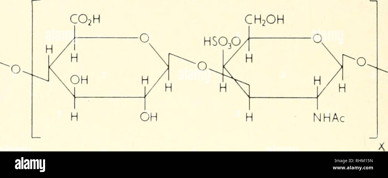 . Biological structure and function; proceedings. Biochemistry ...