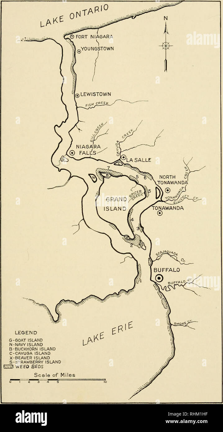 Niagara river map hi-res stock photography and images - Alamy
