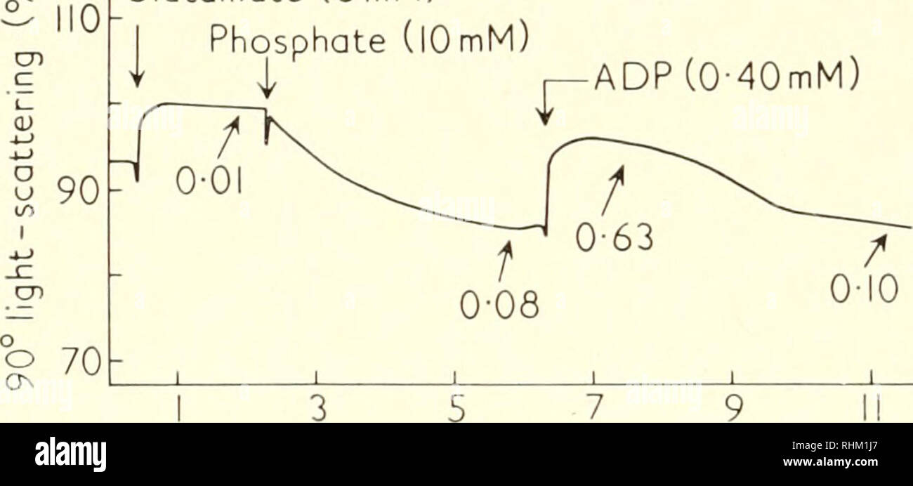 . Biological structure and function; proceedings. Biochemistry ...