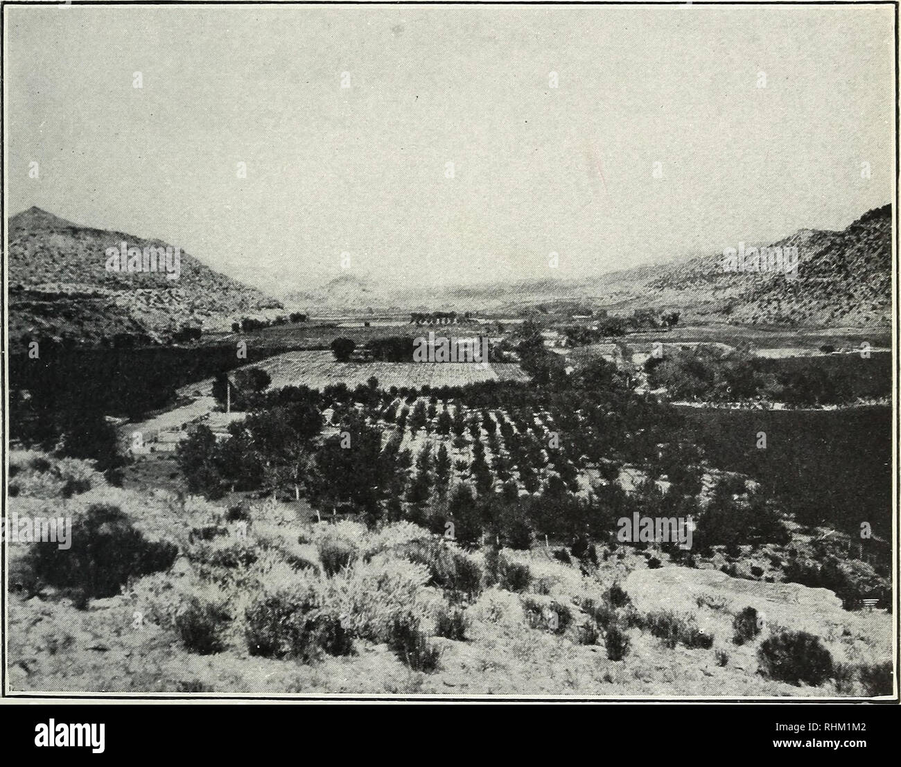 Rangely colorado hi-res stock photography and images - Alamy