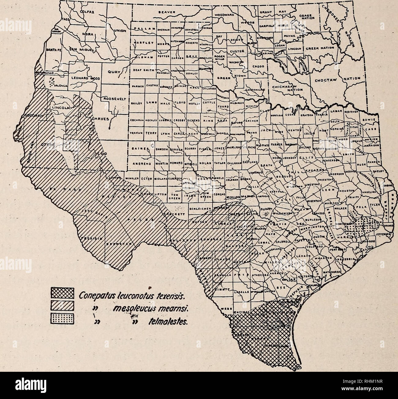 . Biological survey of Texas : Life zones, with characteristic species ...