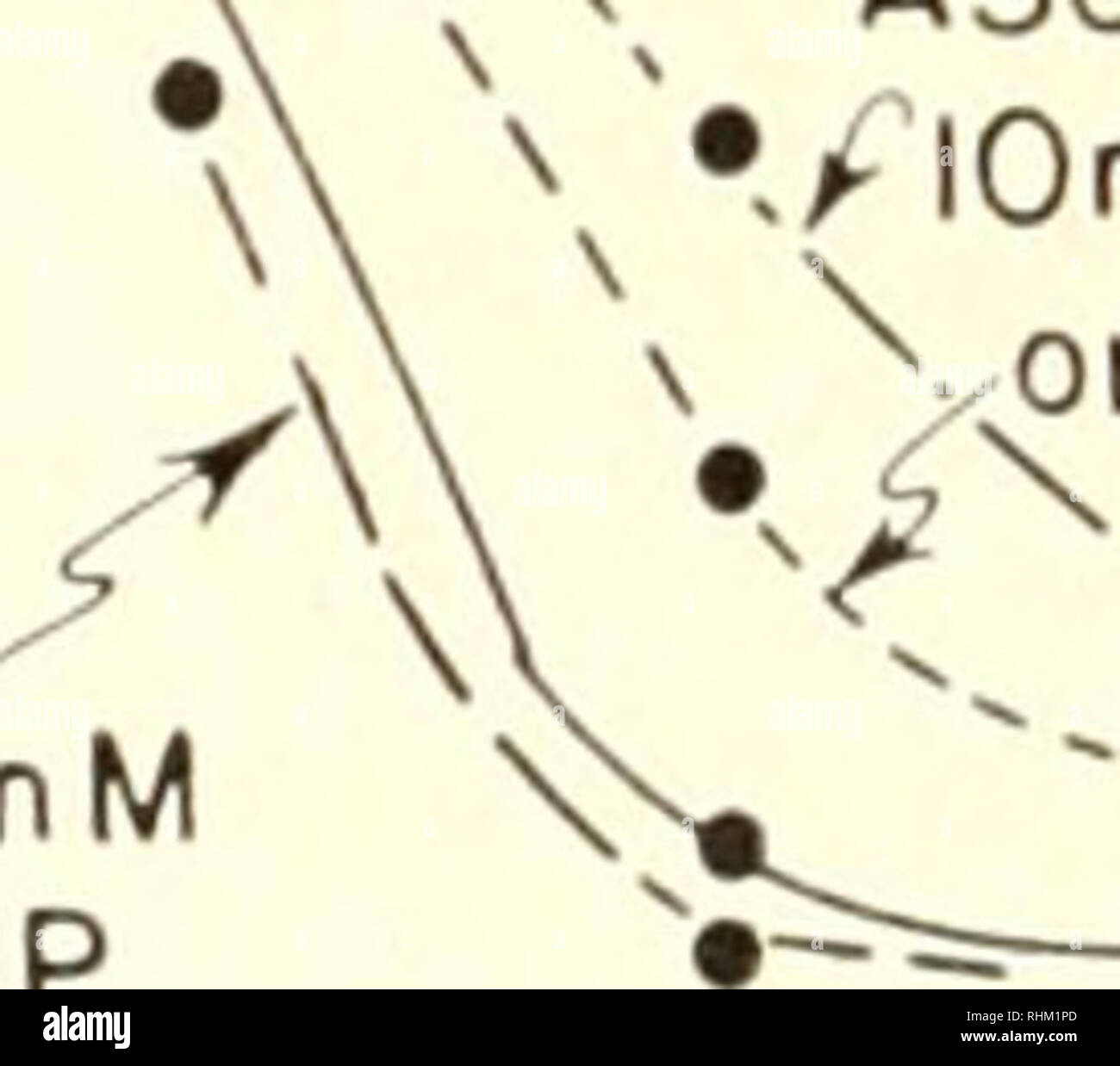 Glucose oxidase structure hi-res stock photography and images - Alamy
