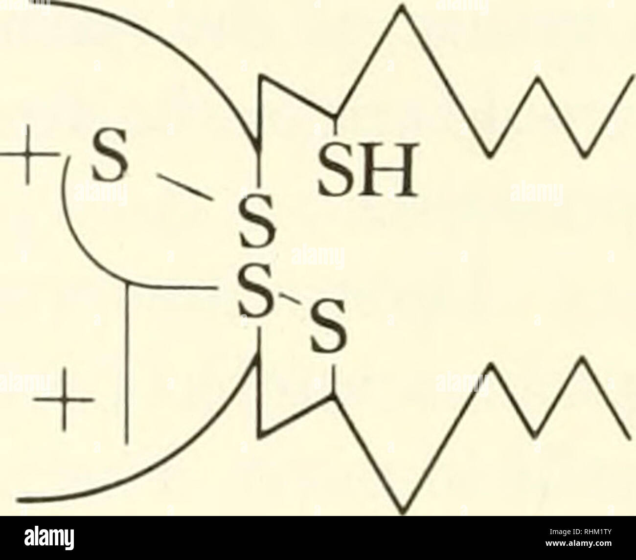 . Biological transport. Biological transport; Biological Transport ...