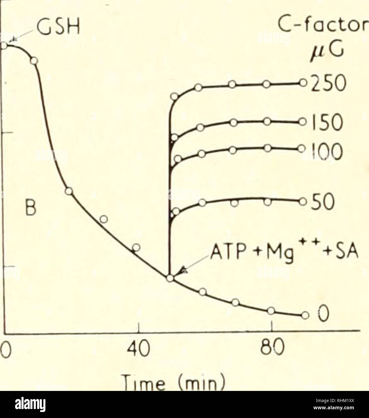 . Biological structure and function; proceedings. Biochemistry ...
