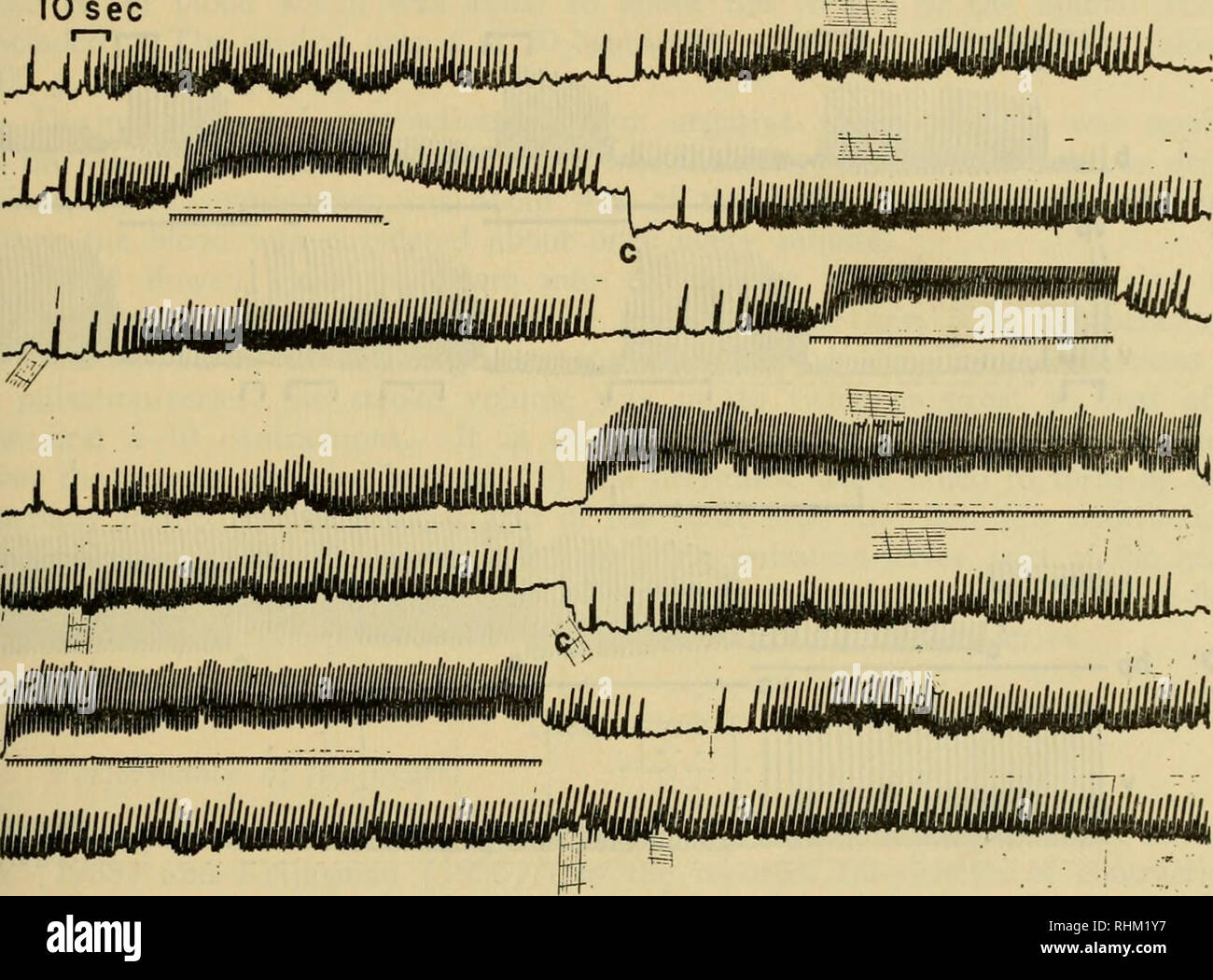 Stimulatory hi-res stock photography and images - Alamy