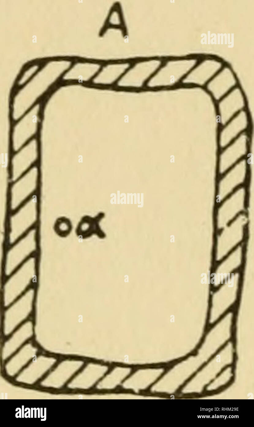 . Biological time. Life (Biology); Time; Wounds and injuries; Tissue ...