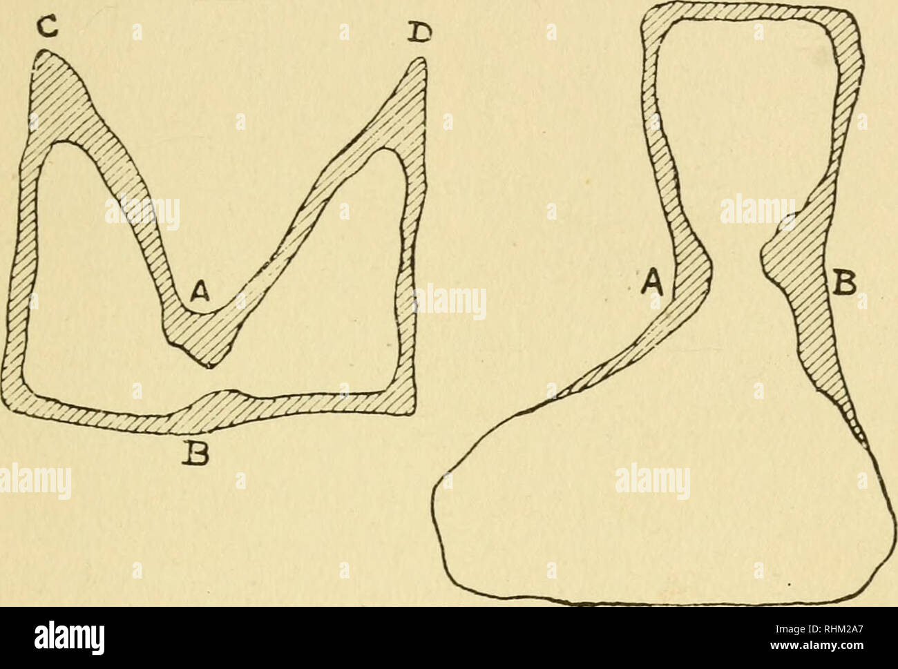 Cicatrize hi-res stock photography and images - Alamy