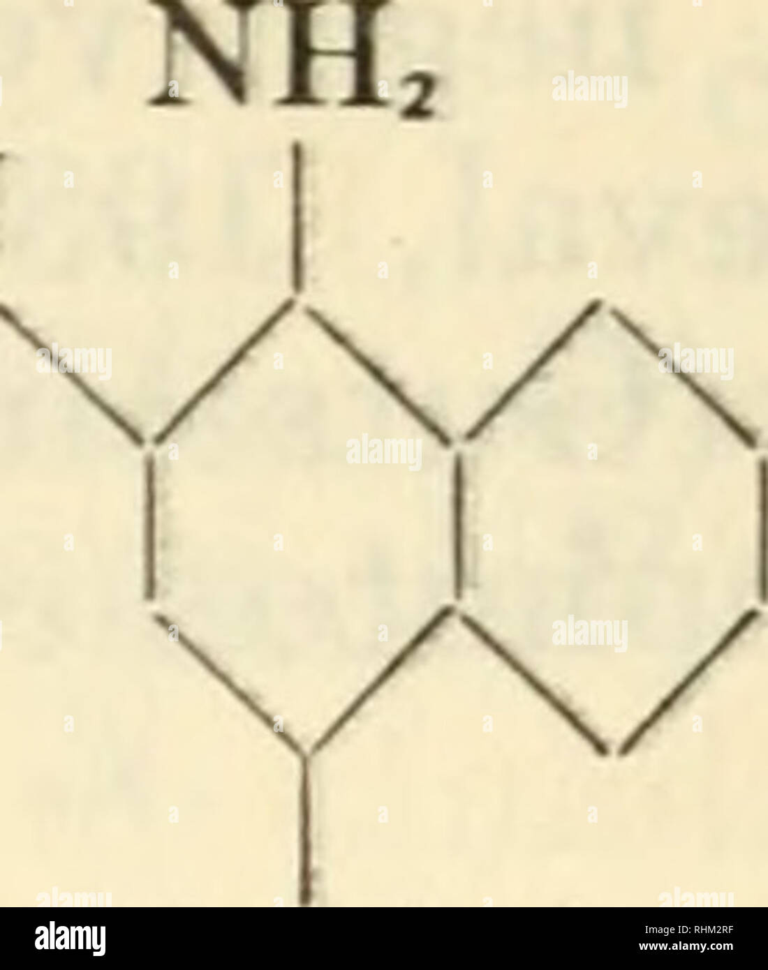. Biological stains; a handbook on the nature and uses of the dyes ...