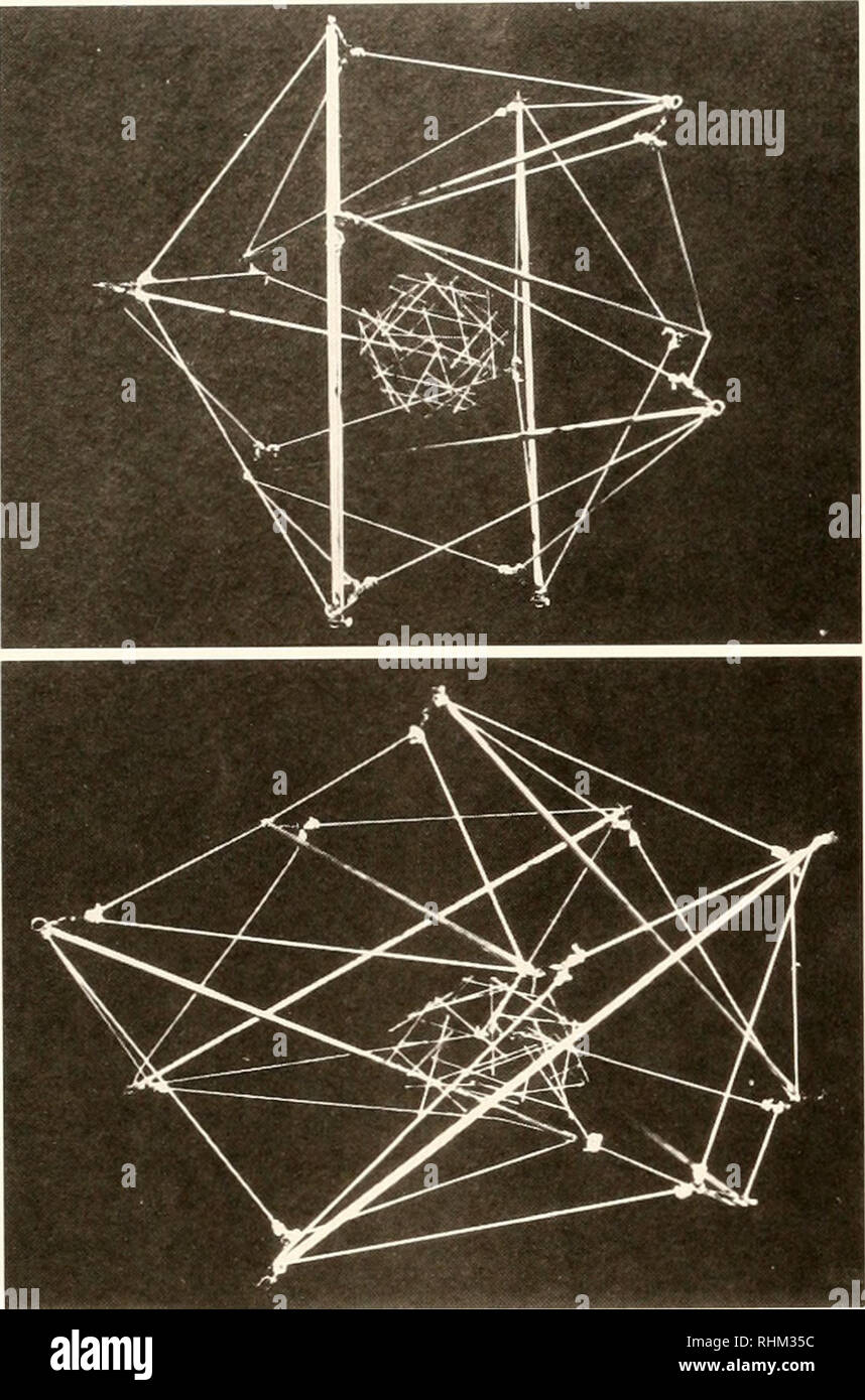Cytoskeletal hi-res stock photography and images - Alamy