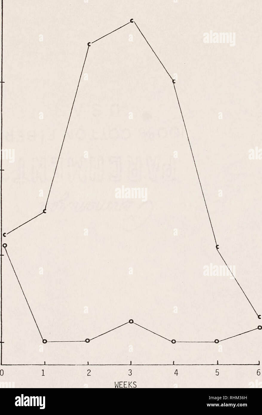 Citrus rust mite phyllocoptruta oleivora hi-res stock photography and ...
