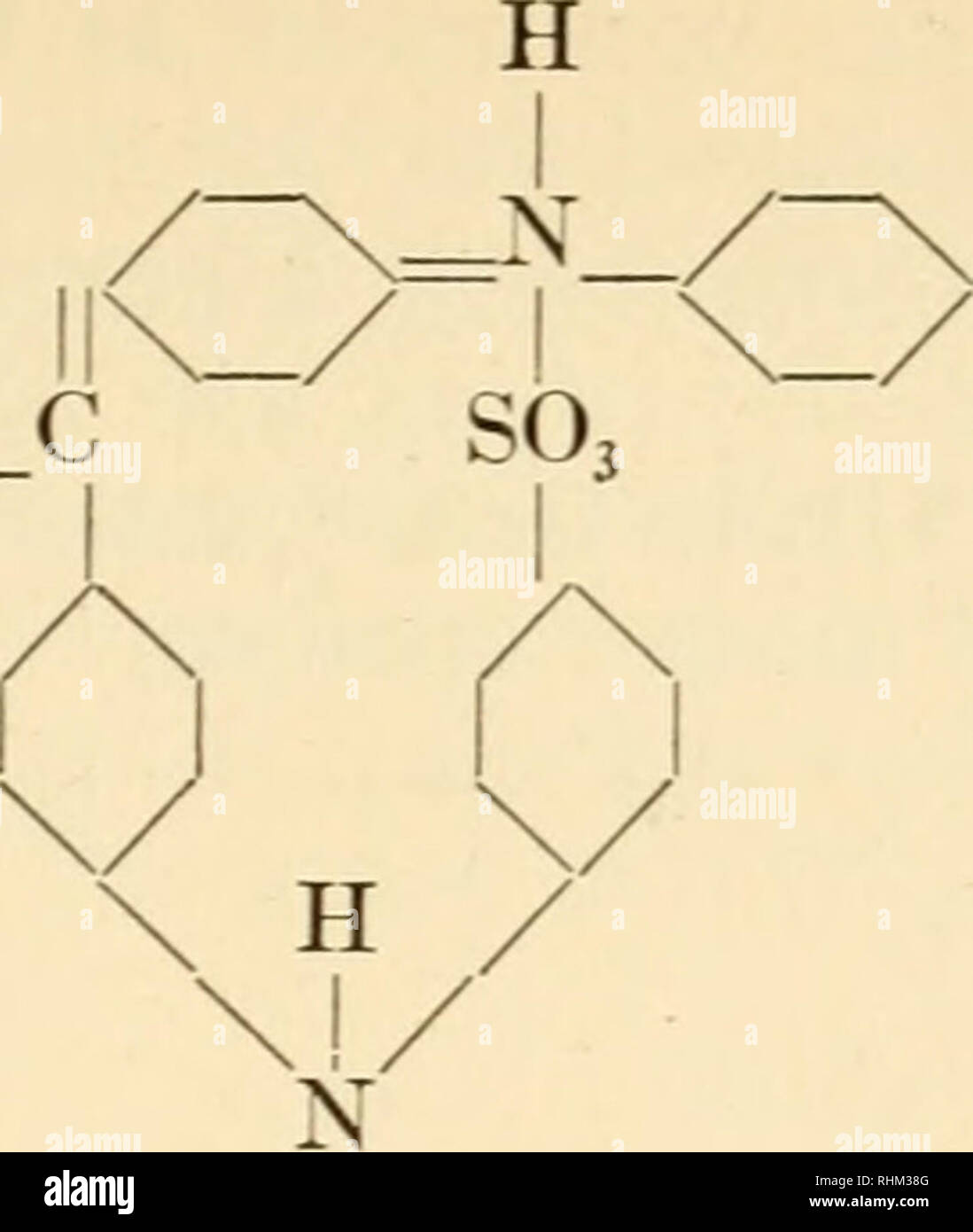 Histological stains hi-res stock photography and images - Alamy