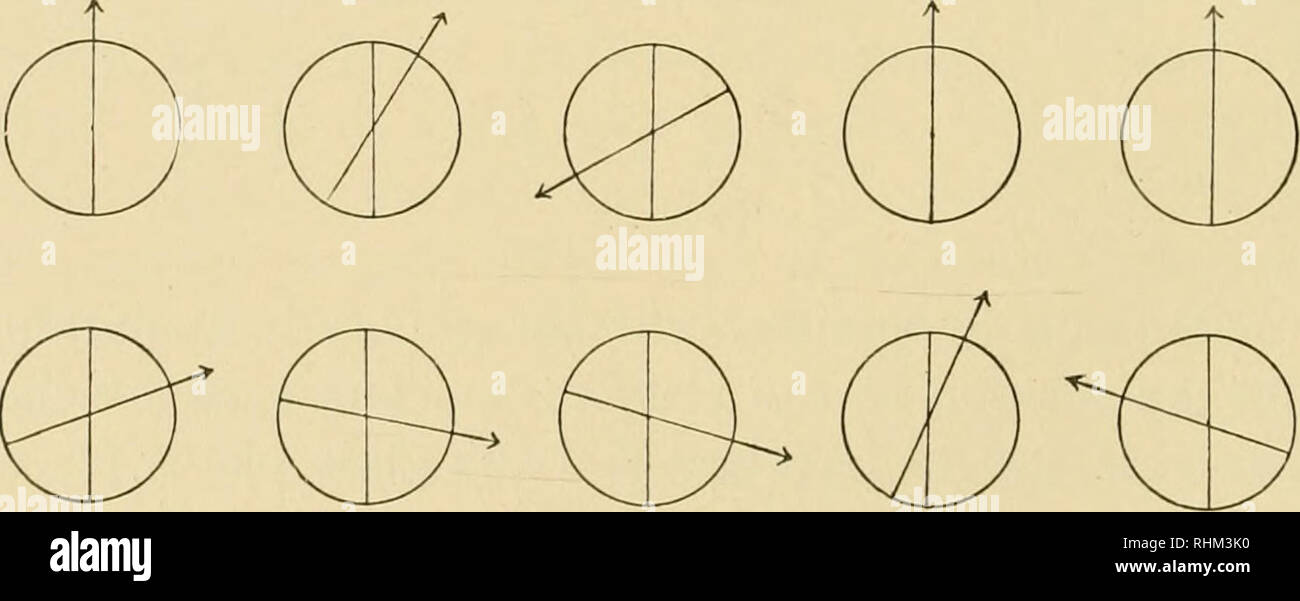 . Biological lectures delivered at the Marine Biological Laboratory of ...