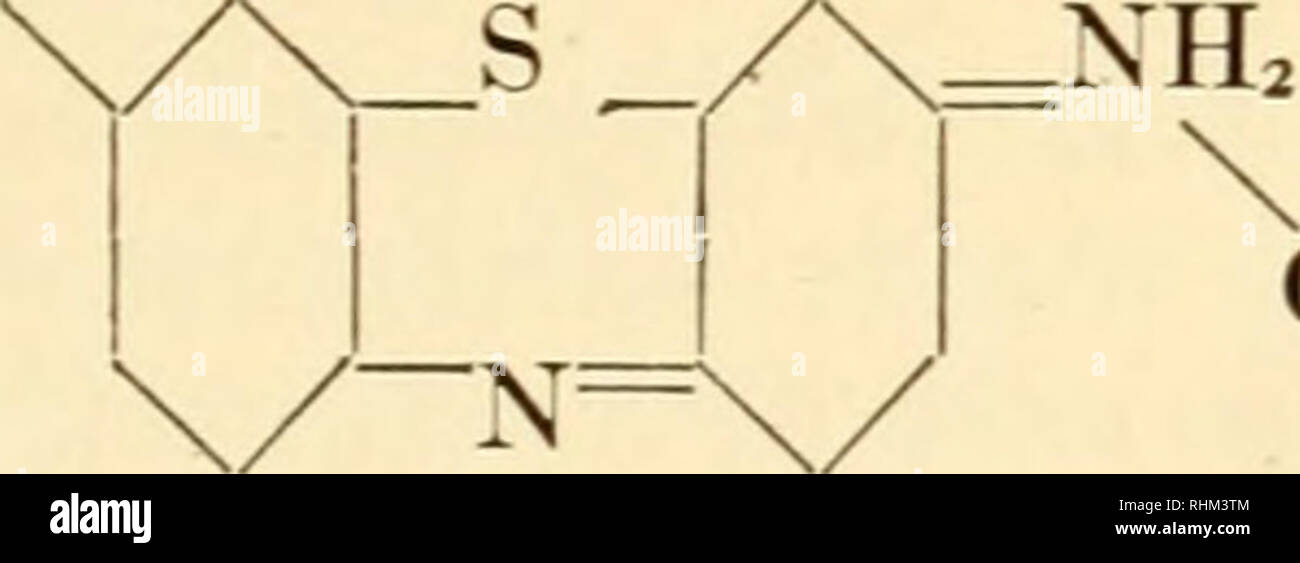 Structural Lab Stains