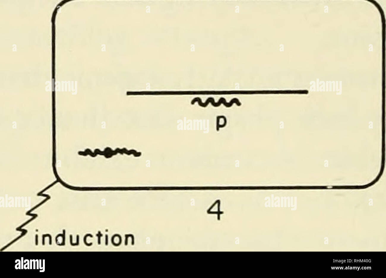 Superinfected hi-res stock photography and images - Alamy