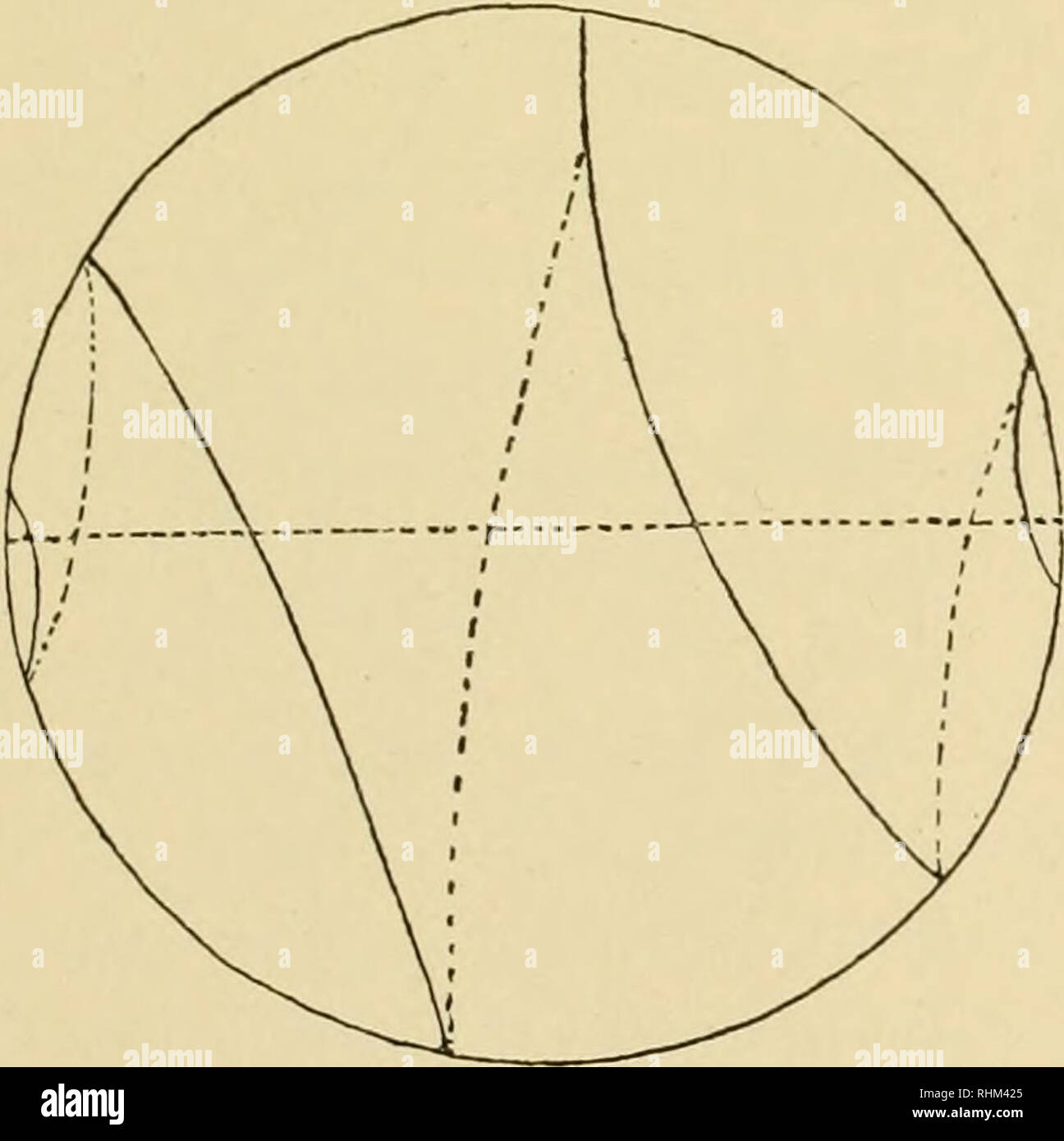 . Biological lectures delivered at the Marine Biological Laboratory of ...