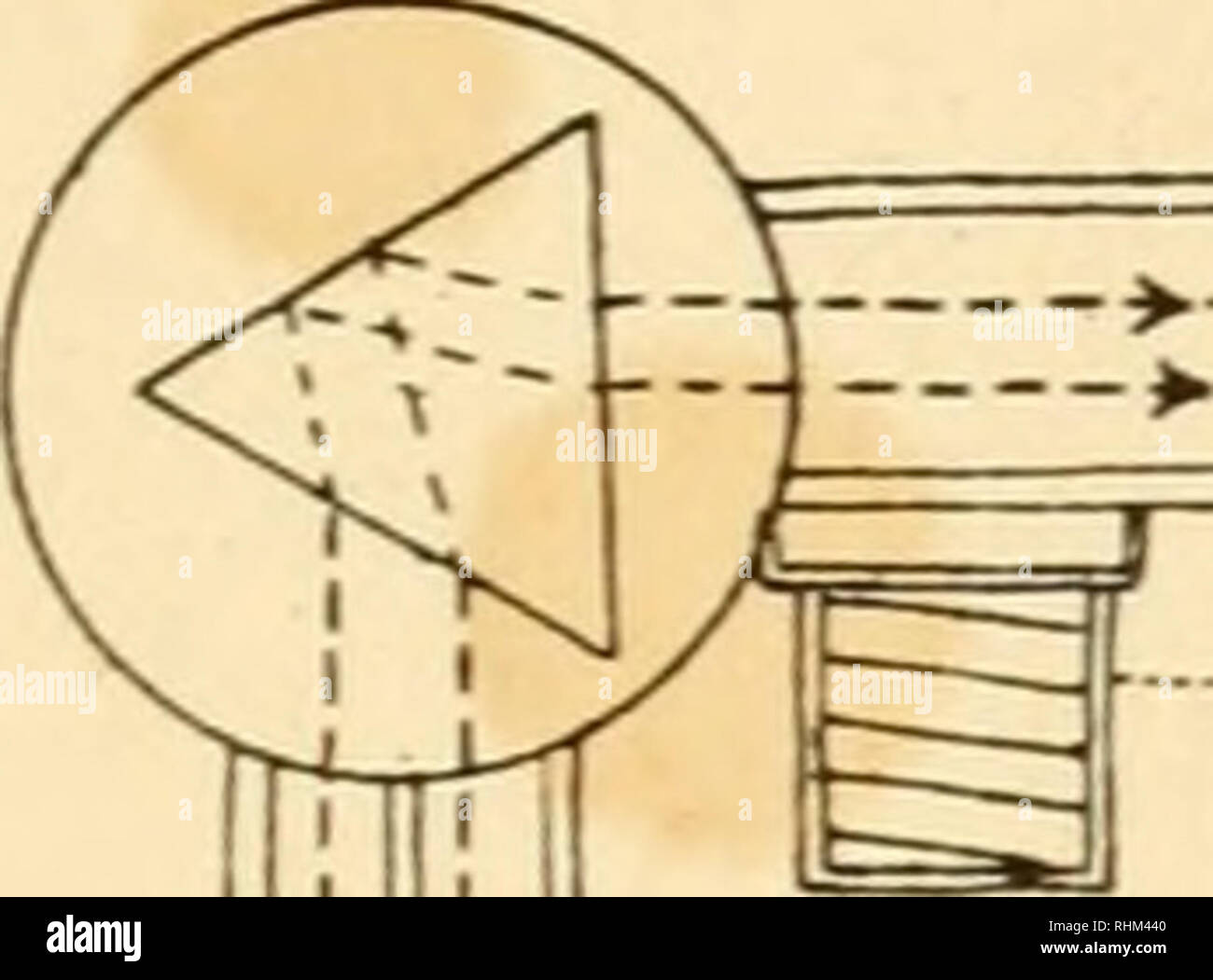 Visible staining hi-res stock photography and images - Alamy