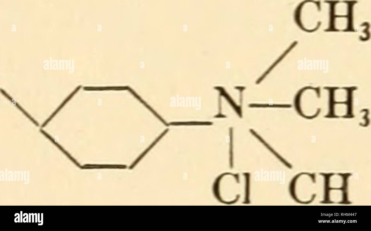 Methyl Red Structure