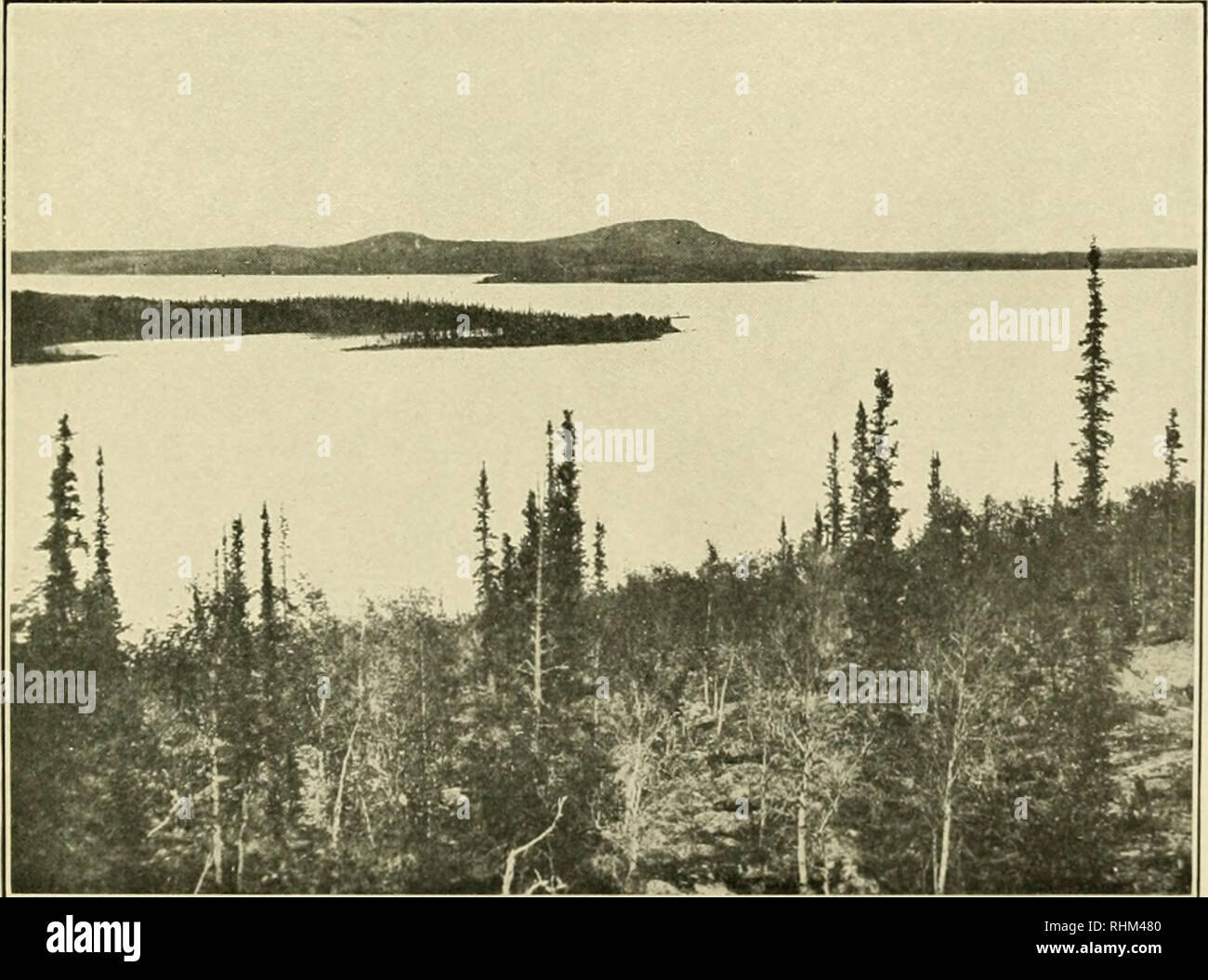 Muskeg pond hi-res stock photography and images - Alamy