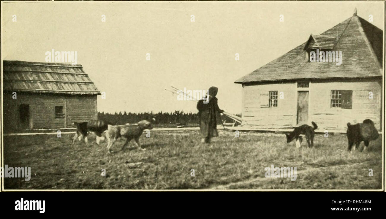 . A biological investigation of the Athabaska-Mackenzie region. Zoology ...