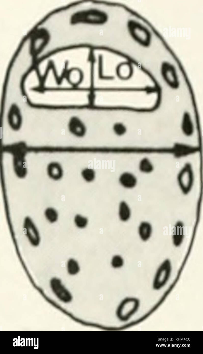 . The Biological bulletin. Biology; Zoology; Biology; Marine Biology. â ...