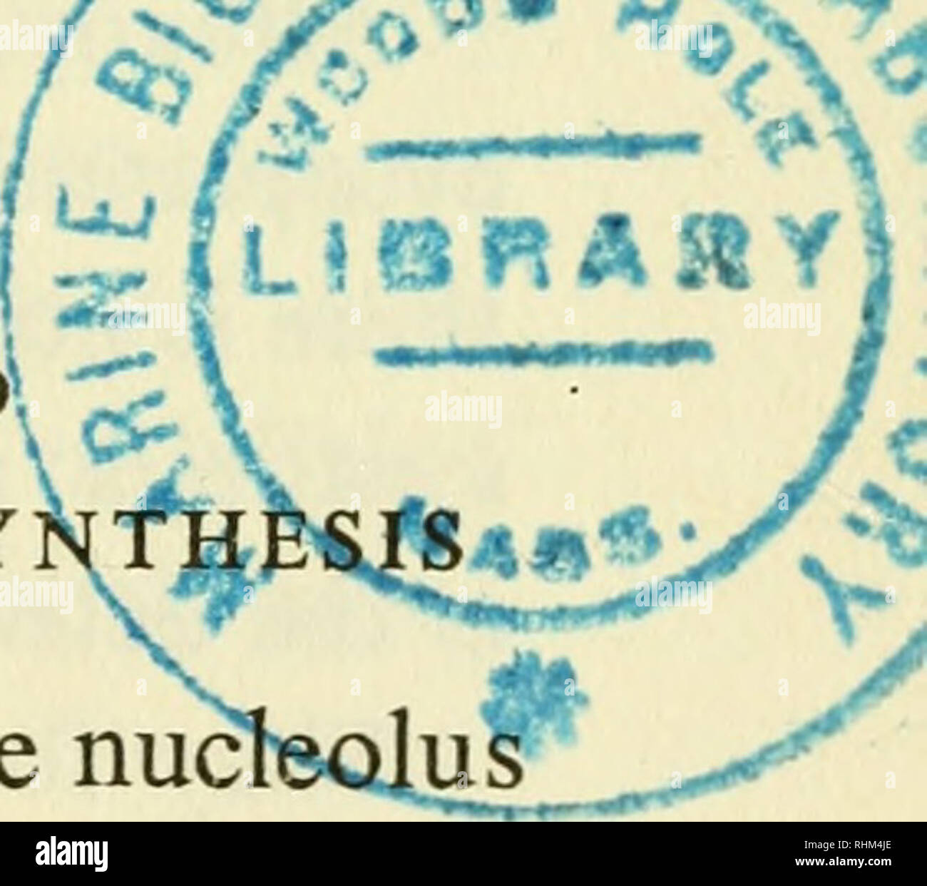 . The biological role of ribonucleic acids. RNA; Biosynthesis ...
