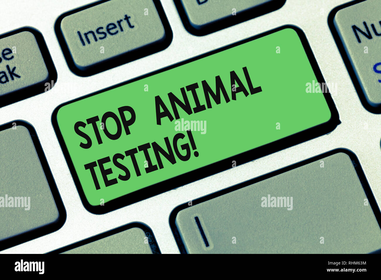 Text sign showing Stop Animal Testing. Conceptual photo scientific ...