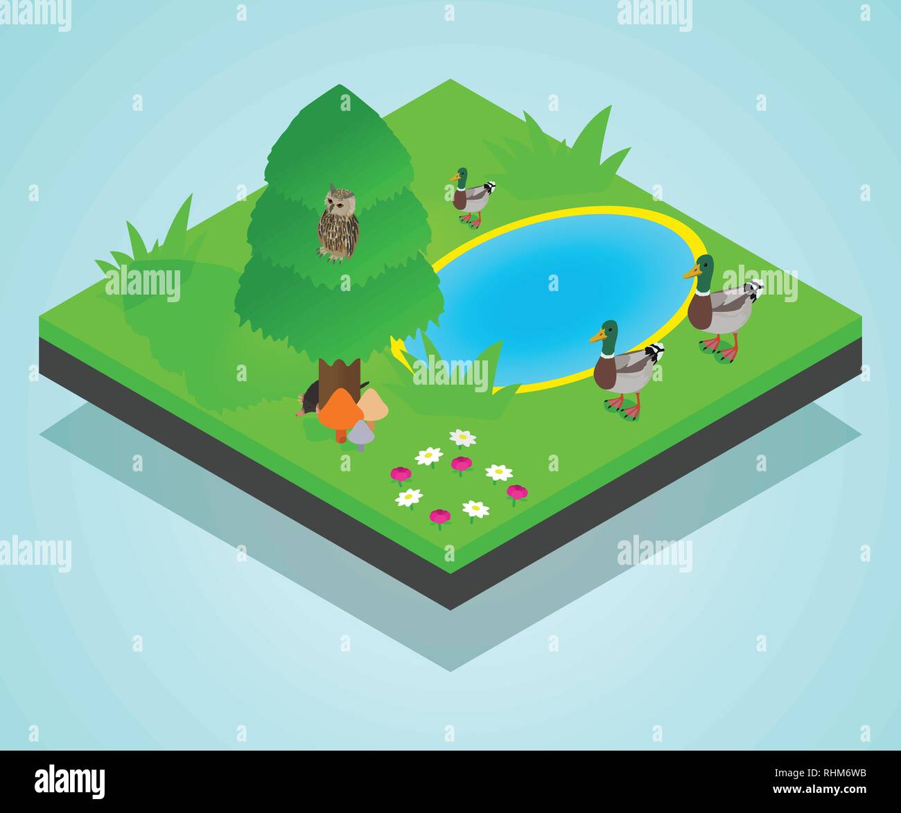 Pond concept banner, isometric style Stock Vector Image & Art - Alamy