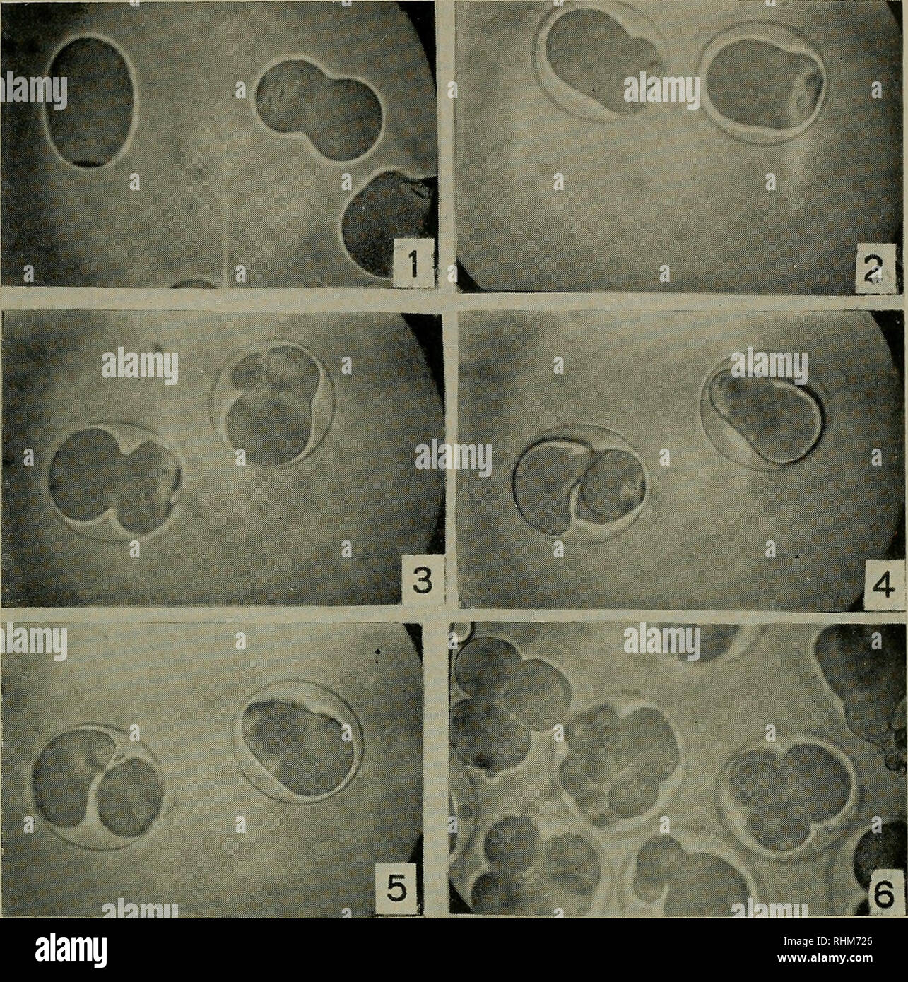 Planes of stratification hi-res stock photography and images - Alamy