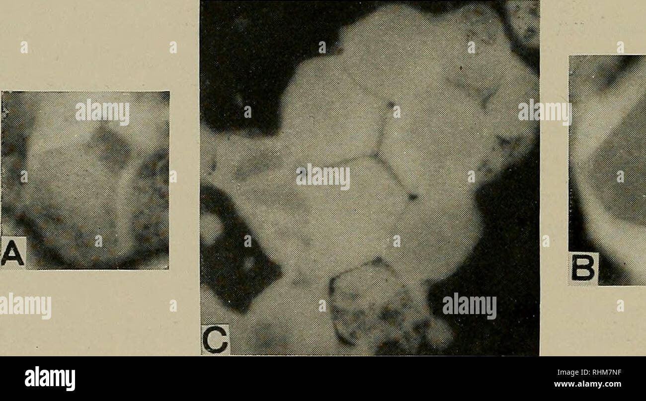 Dihedral Angle High Resolution Stock Photography and Images - Alamy