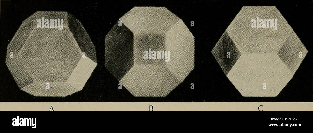 . The Biological bulletin. Biology; Zoology; Marine biology. 206 OTTO ...
