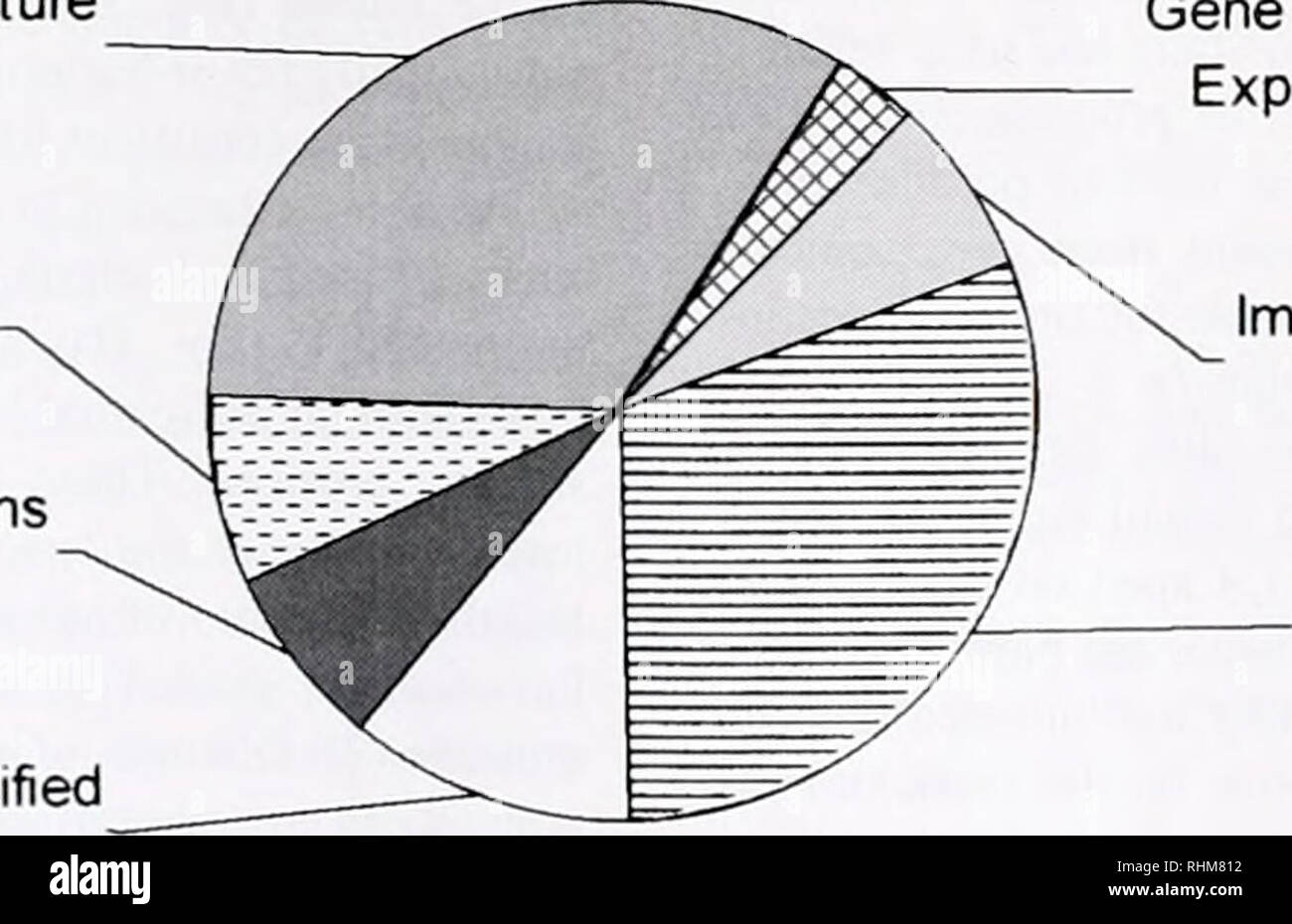 Argopecten hi-res stock photography and images - Alamy