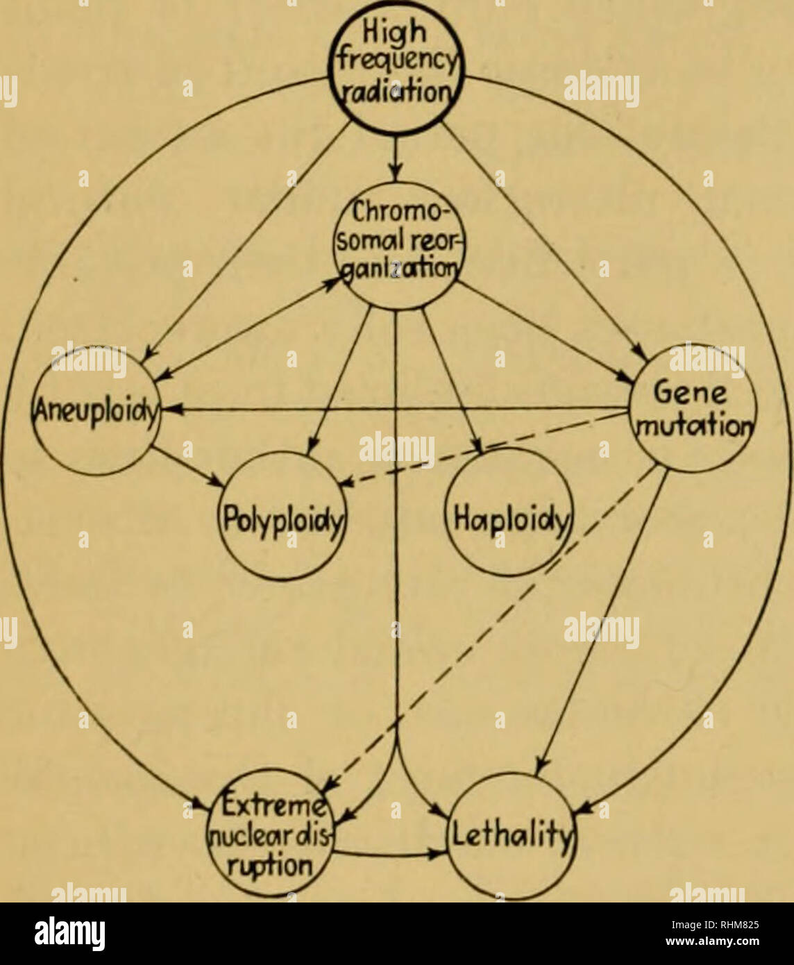 Monosomy Diagram