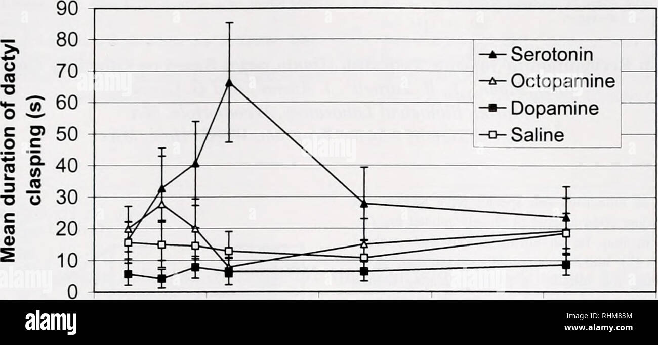 Lobster 100 hi-res stock photography and images - Alamy
