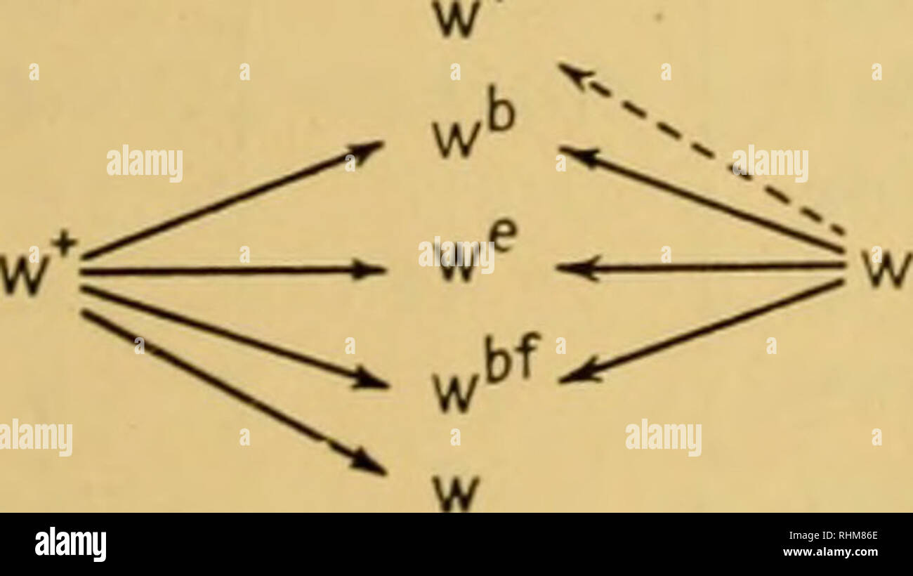 . Biological effects of radiation; mechanism and measurement of ...