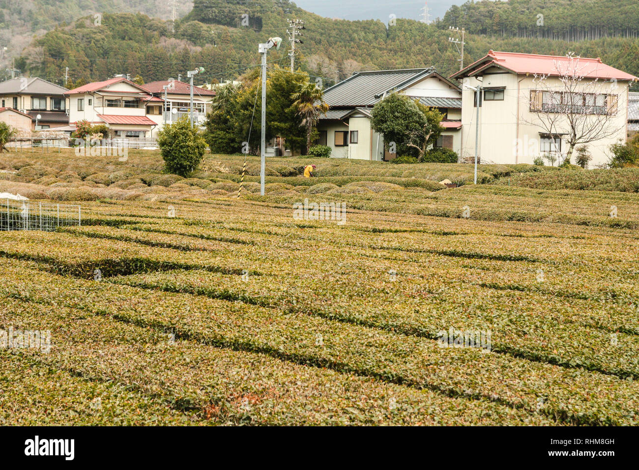 Prefecture shizuoka hi-res stock photography and images - Alamy
